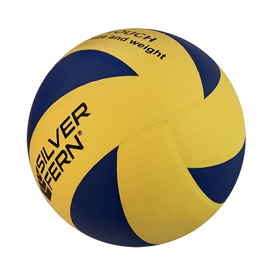 Silver Fern Match Volleyball Kit - 10 balls | Strata Sports